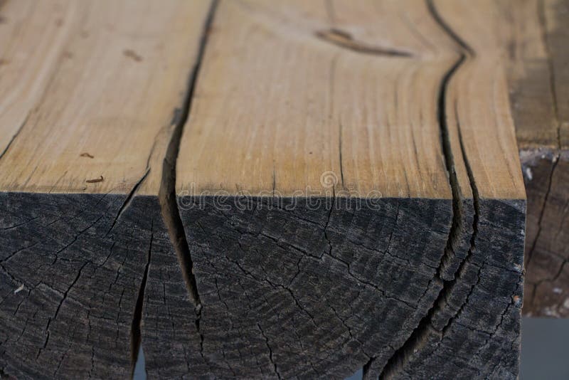 Oak wood stock photo. Image of pine, decor, vintage, nature - 98147650