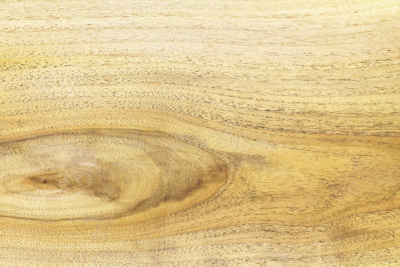 Oak wood details stock image. Image of details, surface - 88853517
