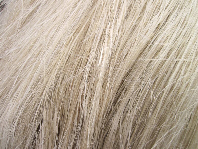 Oakum stock photo. Image of surface, macro, fiber, closeup - 38384022