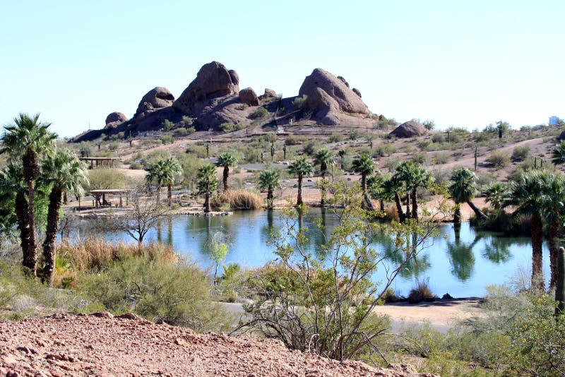Oase stockfoto. Bild von wasser, arizona, kaktus, wüste - 23561246