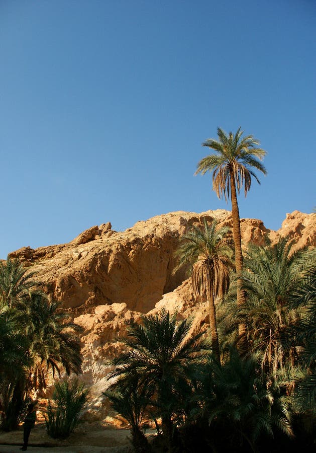 Oase Archivbilder - Abgabe des Download-8,757 geben Fotos frei