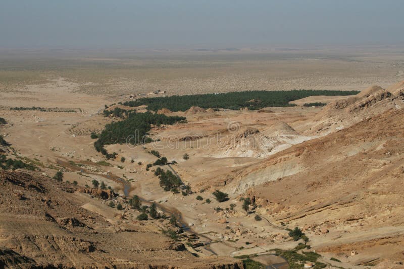 Oase in de woestijn stock afbeelding. Image of woestijn - 16366805