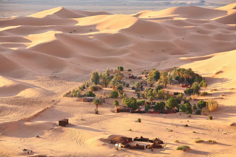 Oase in der Sahara-Wüste stockbild. Bild von zelt, trocken - 7682577