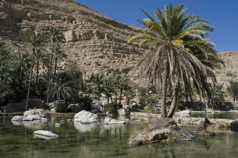 Überraschender See Und Oase Mit Palmen Wadi Bani Khalid in Der Wüste ...