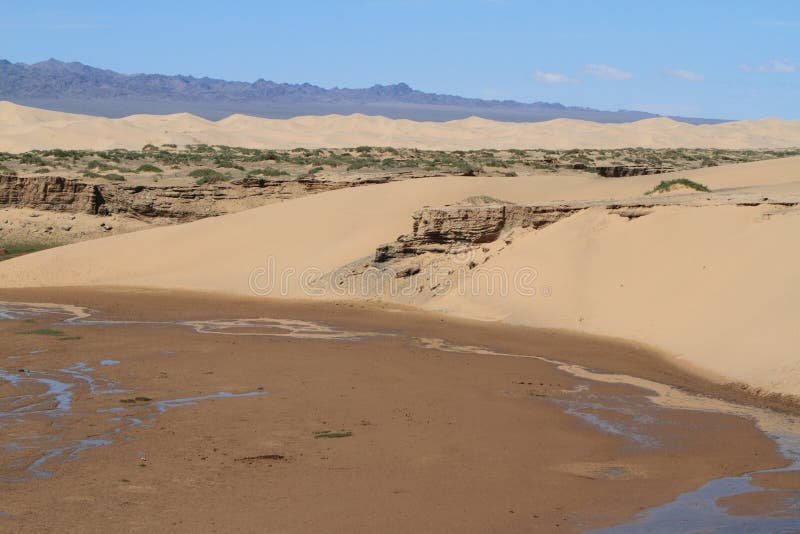 Oase in der Wüste Gobi stockfoto. Bild von klima, wärmen - 37411994