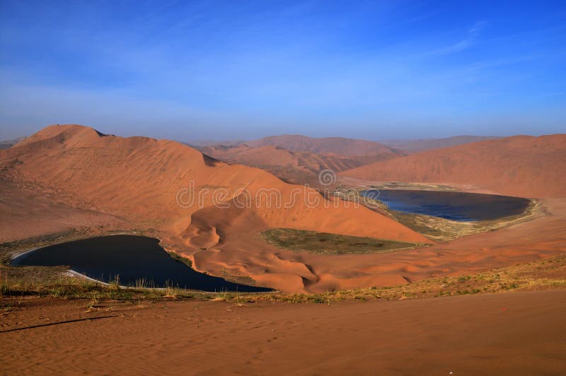 Oase in woestijn stock afbeelding. Image of materiaal - 37085053