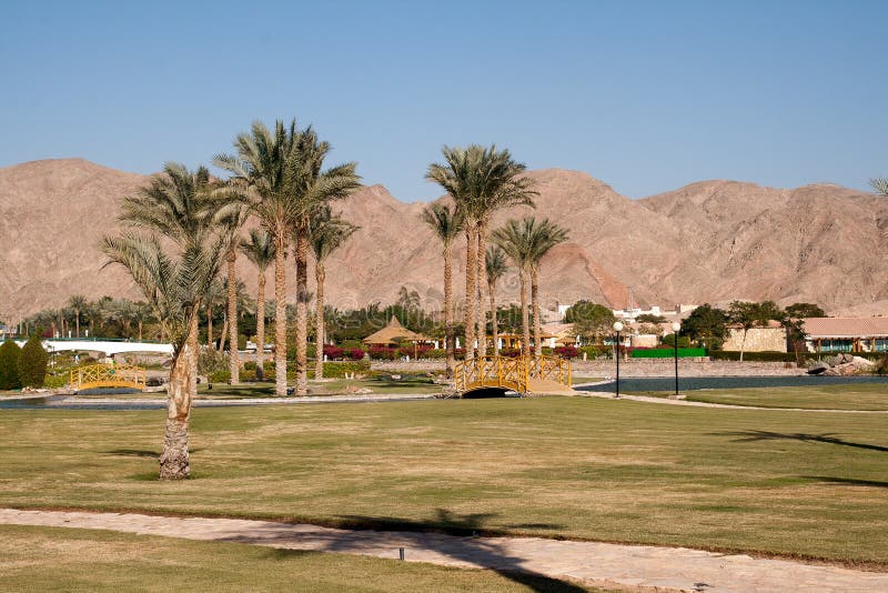 Oasi Artificiale All'hotel. Taba, Egitto. Fotografia Stock - Immagine ...