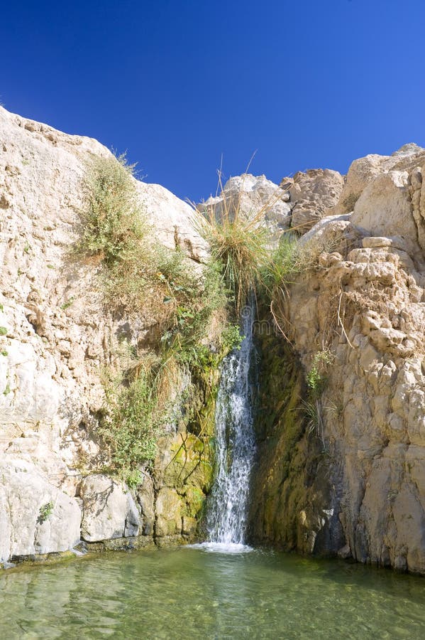 Oasis stock photo. Image of relax, calm, breathtaking - 5459900