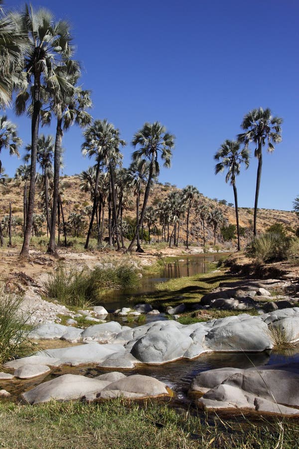 Oasis - Damaraland - Namibia Stock Image - Image of waterless, african ...