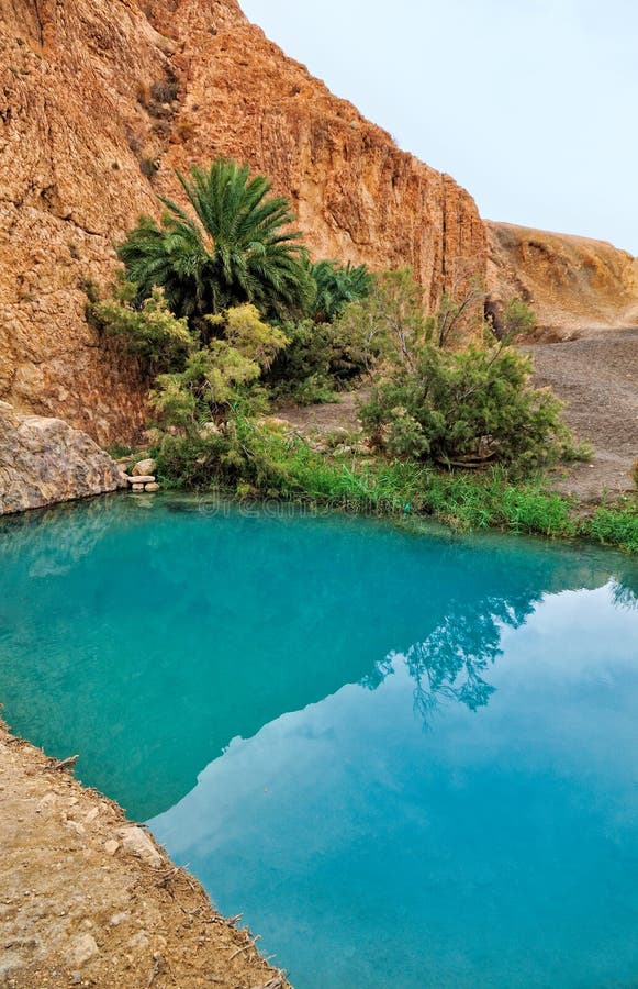 Oasis De Montagne De Chebika Image stock - Image du atlas, cascade: 6834279