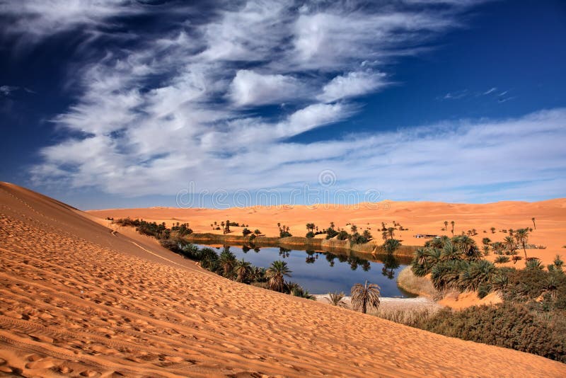 Oasis desert stock photo. Image of background, morocco - 18511574