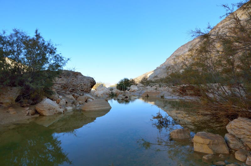 Ein Avdat Oasis in Negev Desert Stock Photo - Image of negev, desert ...