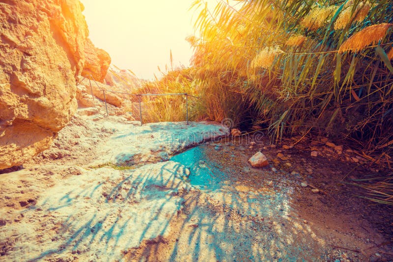 David S Waterfall at Ein Gedi Nature Reserve Stock Image - Image of ...