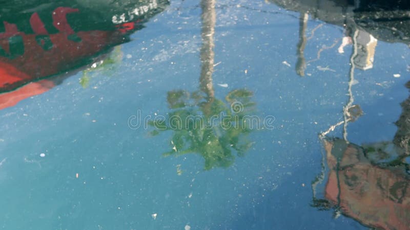 Oasis in the Desert with the Reflection of a Palm Tree in the Water ...