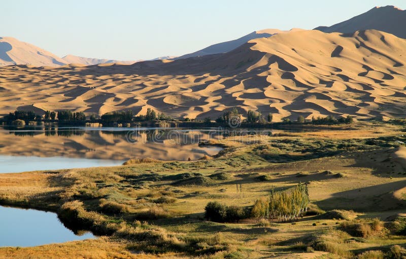 Oasis in desert stock image. Image of arid, dene, destination - 39625525