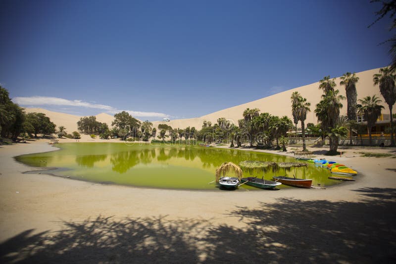 Oasis in the dunes. Peru stock photo. Image of adventure - 64473608
