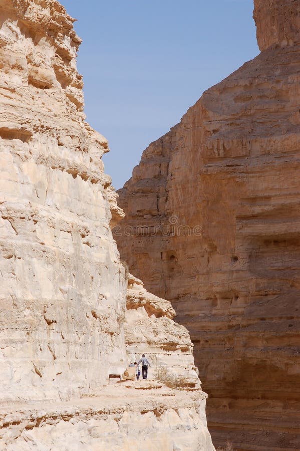 Ein Avdat Oasis in Negev Desert Stock Photo - Image of negev, desert ...