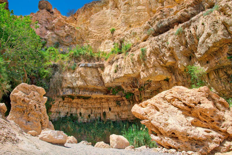 En Gedi Desert Oasis on the Western Shore of the Dead Sea in Israel ...