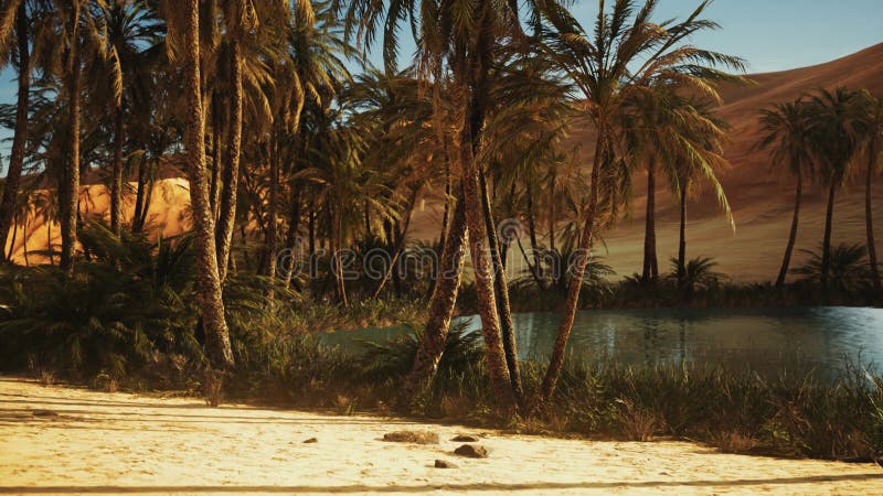 Sahara Desert Map stock footage. Video of visualization - 294265800