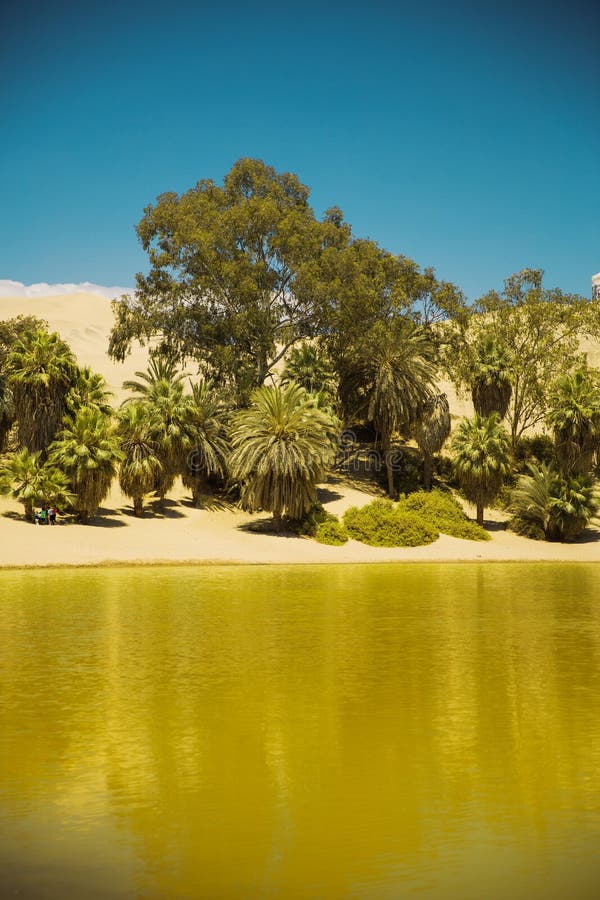 Oasis of Huacachina in the Desert of Ica Stock Photo - Image of south ...