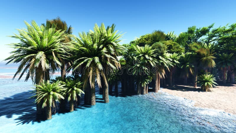 Oasis in Morocco stock photo. Image of desert, natural - 30324488