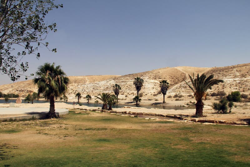 777 Oasis Desert Negev Stock Photos - Free & Royalty-Free Stock Photos ...
