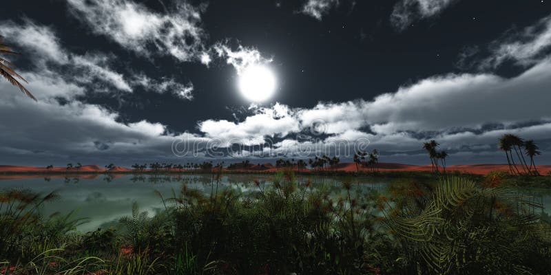 Oasis at night stock illustration. Illustration of romantic - 203205755