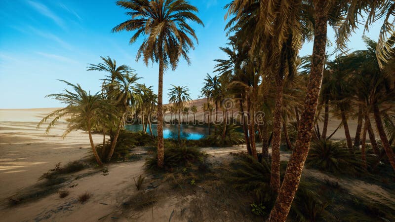 Oasis with Palm Trees in Desert 4 Stock Footage - Video of ocean ...