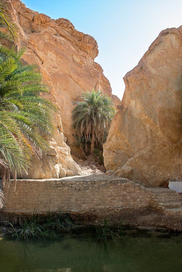 Rock gorge stock image. Image of park, nature, beautiful - 21737193