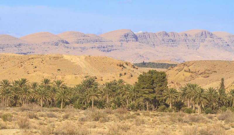 Oasis stock image. Image of desertic, dune, aride, landscape - 72446563