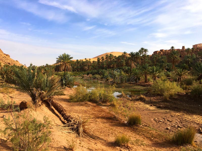 Oasis of Taghit from the Djebel Baroun Ruins Stock Image - Image of ...