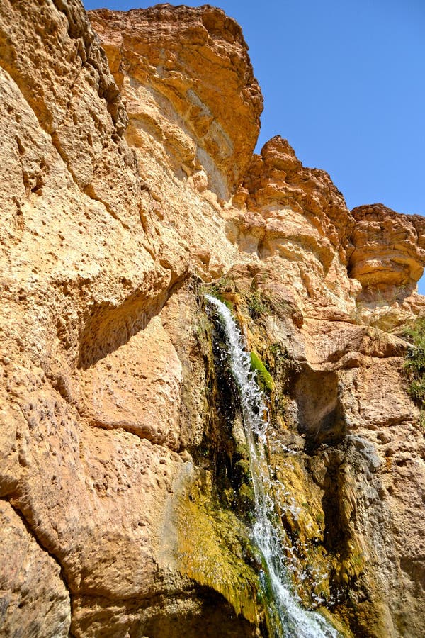 Mountain Oasis Tamerza in Tunisia 4 Stock Image - Image of natural ...