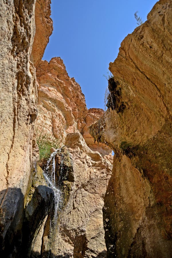 Mountain Oasis Tamerza in Tunisia Near the Border with Algeria. Stock ...
