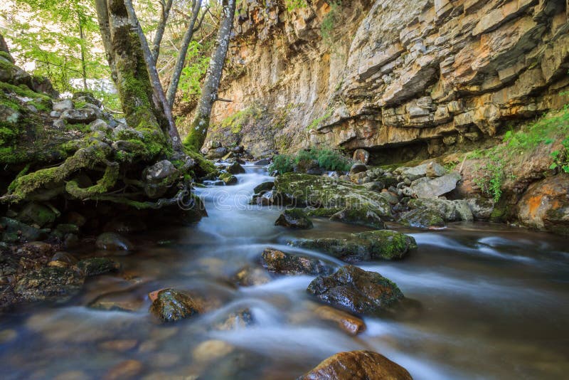 Oasis of water stock photo. Image of green, leaf, jungle - 34416238