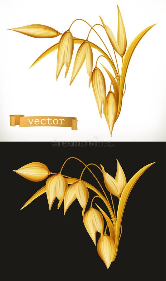 Oat. 3d vector icon stock vector. Illustration of nutrition - 118085562
