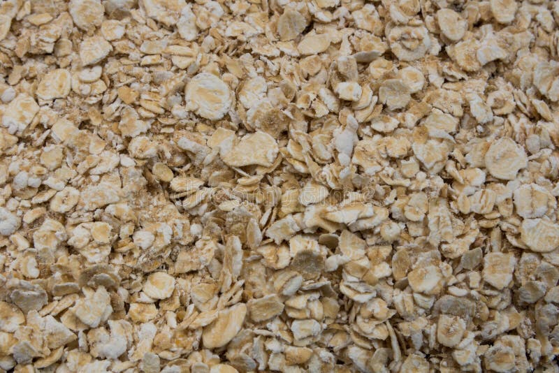 Picture full of Sea Shells stock image. Image of resort - 36320367