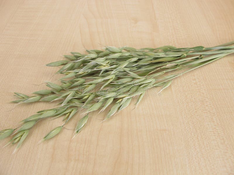 Oat Florets on Wooden Board Stock Image - Image of fiber, florets: 74902087