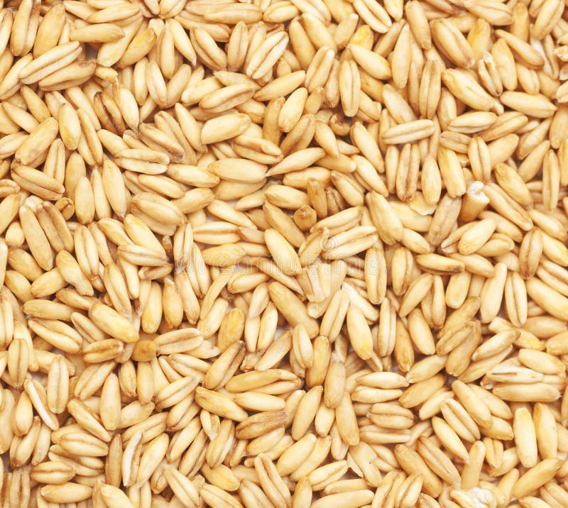 Oat Grain, Background and Texture Stock Image - Image of diet, healthy ...