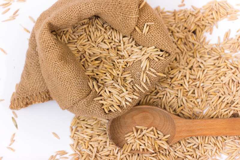Oat Grains in a Burlap Sack Stock Photo - Image of corn, cereal: 55658132