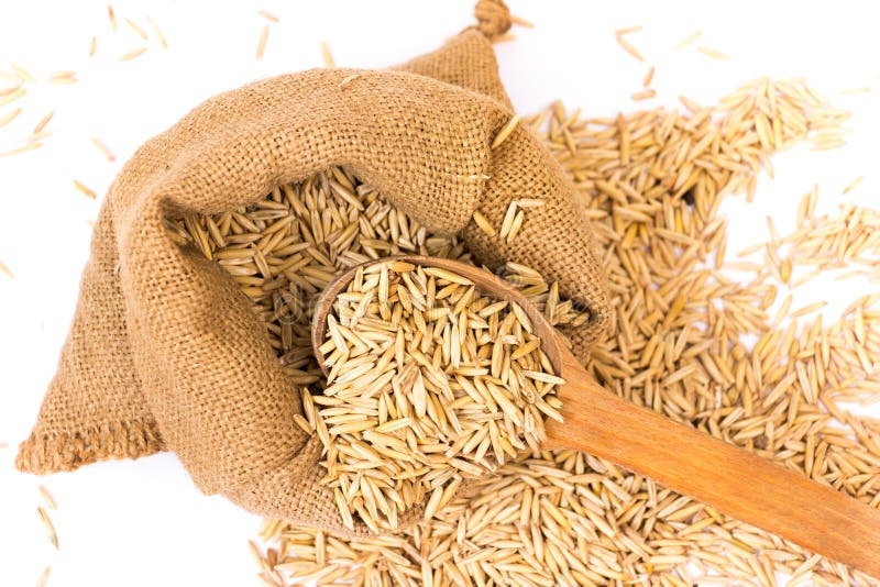 Oat Grains in a Burlap Sack Stock Photo - Image of health, harvest ...