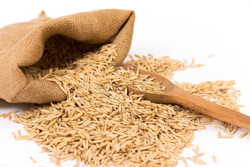 Oat Grains in a Burlap Sack Stock Photo - Image of nutrient, harvest ...