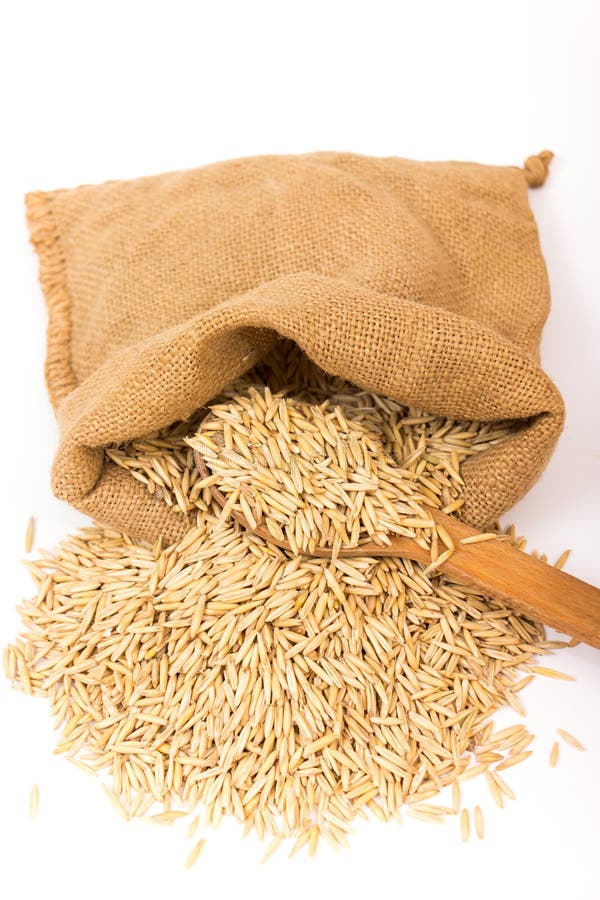 Oat Grains in a Burlap Sack Stock Image - Image of dietary, lunch: 55658463