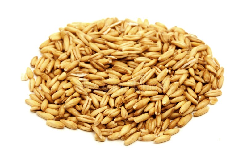 Oat grains stock photo. Image of groats, sativa, studio - 36765012