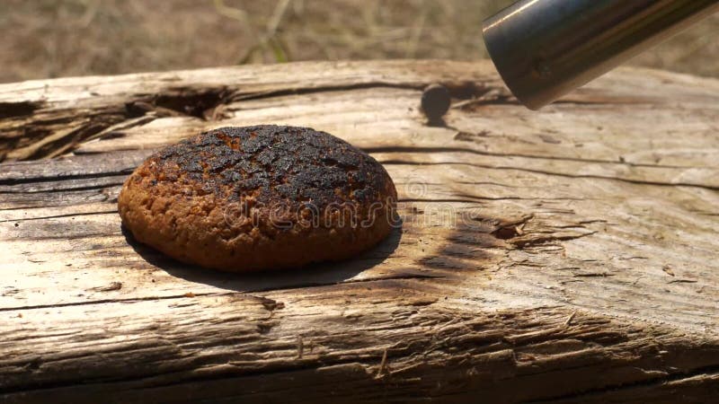 Oatmeal Cookies Burn Under the Influence of a Gas Burner. Fire ...