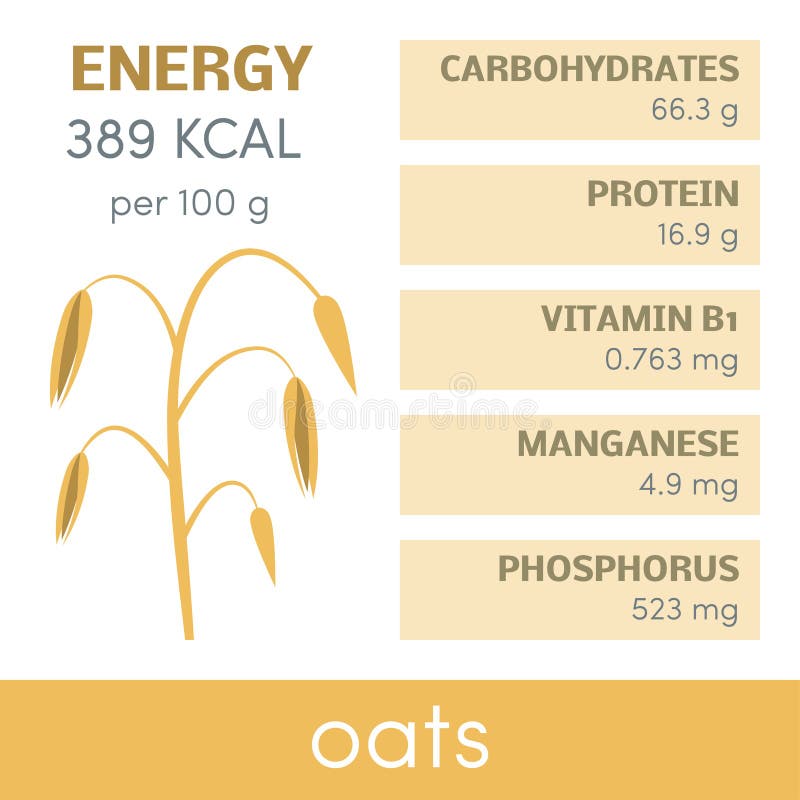 Oats infographic stock illustration. Illustration of ingredient - 75210965