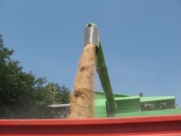 Oats stock image. Image of moved, oats, transport, trailer - 56838489