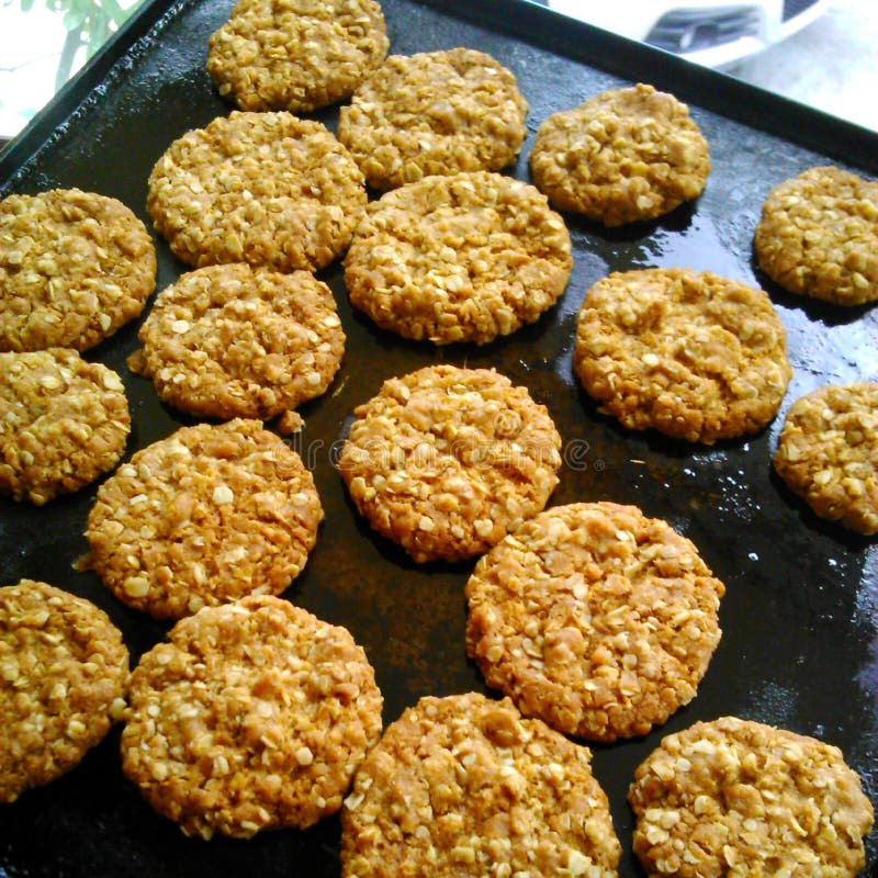 Oaty biscuits stock image. Image of sweet, oaty, homemade - 49391279