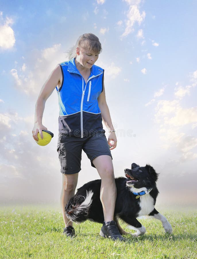 Obedience Training with a Border Collie Stock Image - Image of animal ...