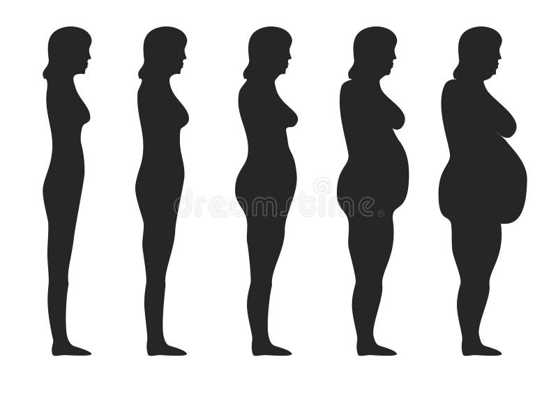 Female Body Shapes stock vector. Illustration of obese - 33215588
