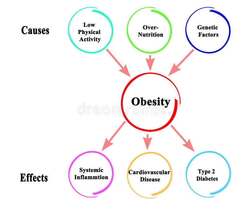 Obesity Diagram Stock Illustrations – 544 Obesity Diagram Stock ...